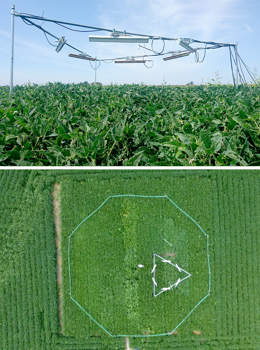 Review: Heat-resilient crops are within reach — given enough time and ...