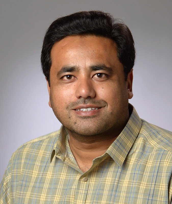 Study identifies gene clusters in rhizobia linked to robust legume ...