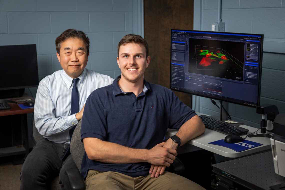 More structural protein can make tumors softer, the inverse of how lab ...
