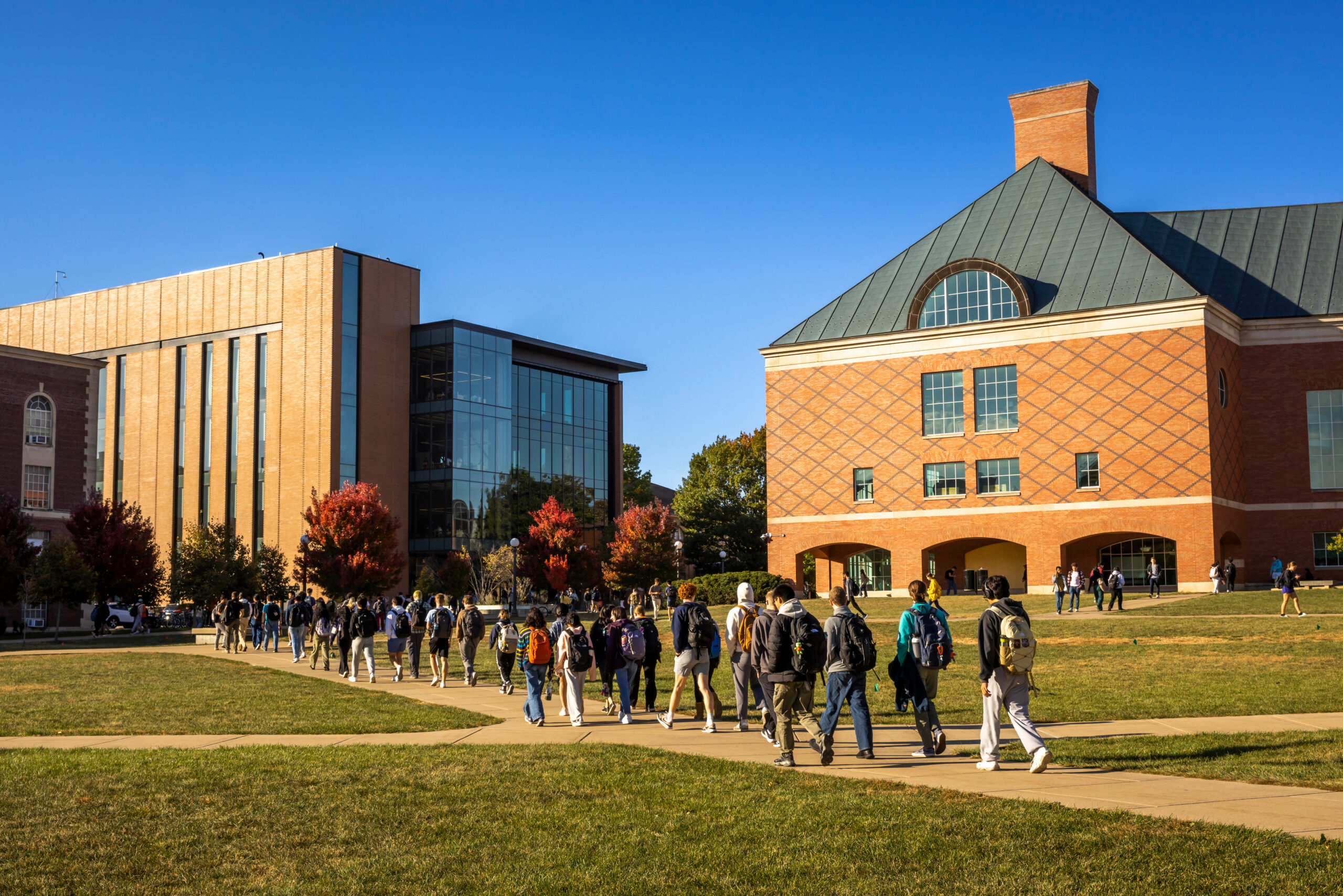 Faculty members honored with 2026 University Distinguished Teacher ...
