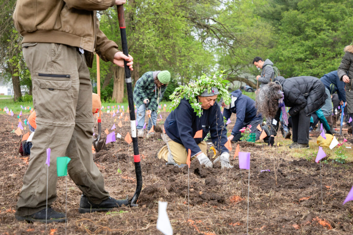 Planting a pocket forest – News Bureau