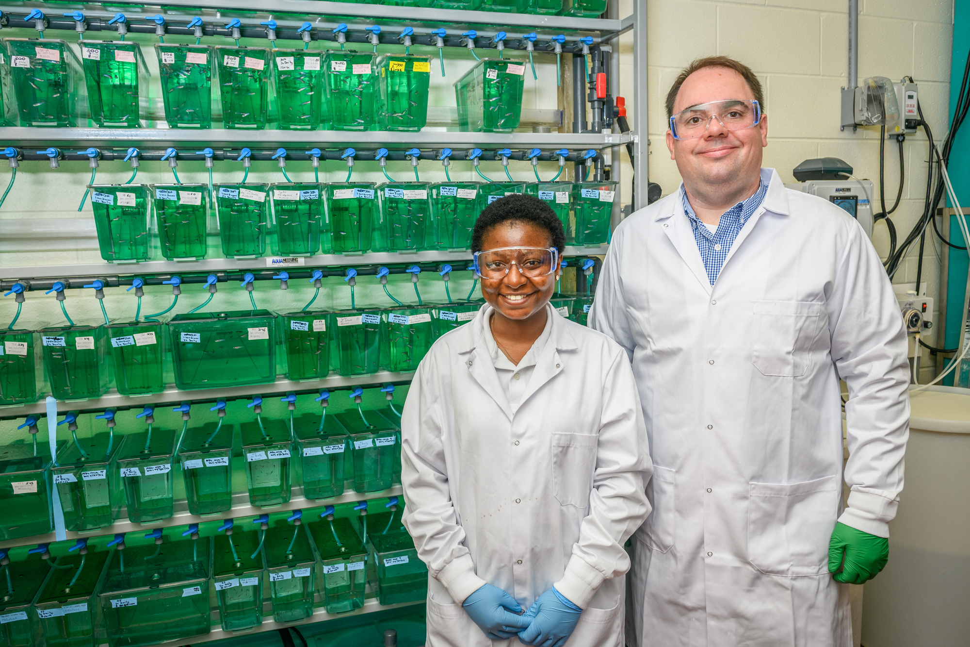 One simple trick makes zebrafish a better model for microbiome research ...